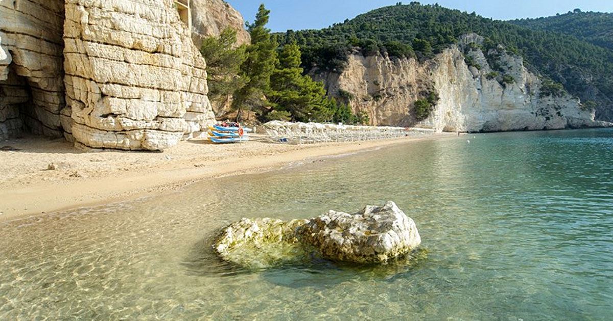 10 Parchi Naturali imperdibili in Puglia: scopri quali visitare