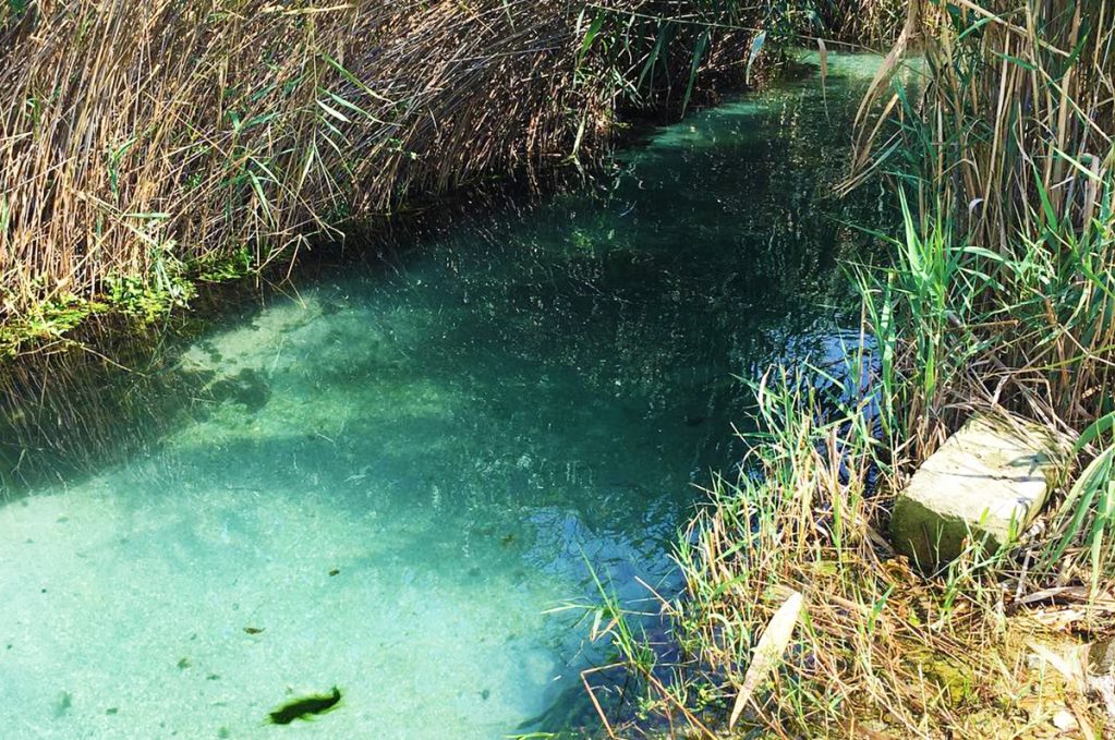 Cervaro, il fiume affluente del Mar Piccolo ricco di proprietà ...