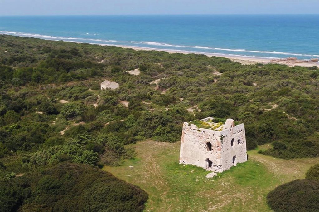 Il bosco isola: un raro diamante verde a due passi da Lesina - Puglia.com